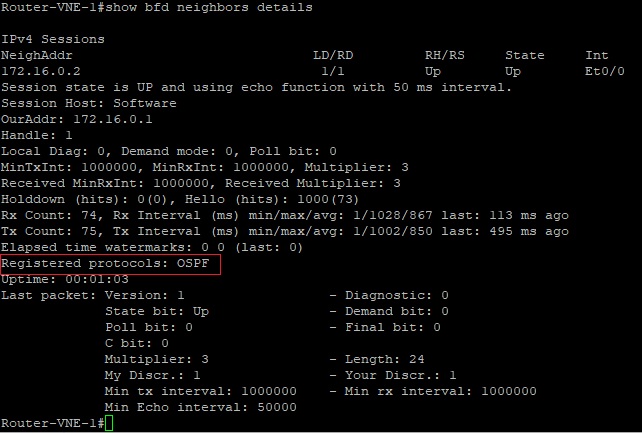 Tìm hiểu, cấu hình BFD (Bidirectional Forwarding Detection)
