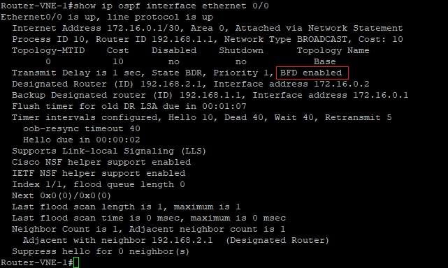 Tìm hiểu, cấu hình BFD (Bidirectional Forwarding Detection)