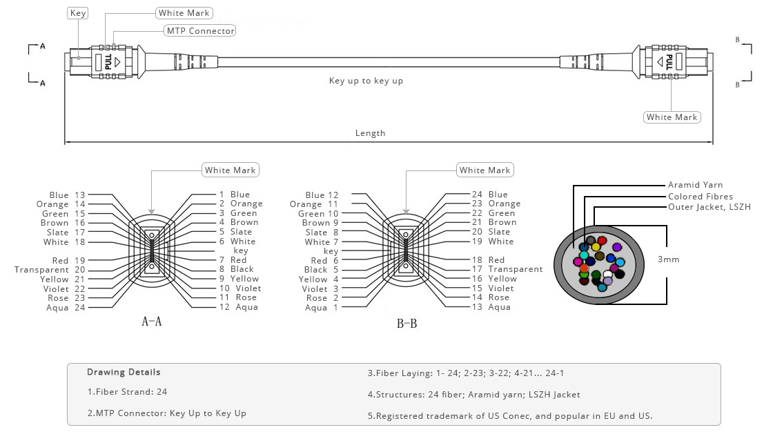 24 Fiber, MTP/MPO OM3 50/125 Trunk Cables